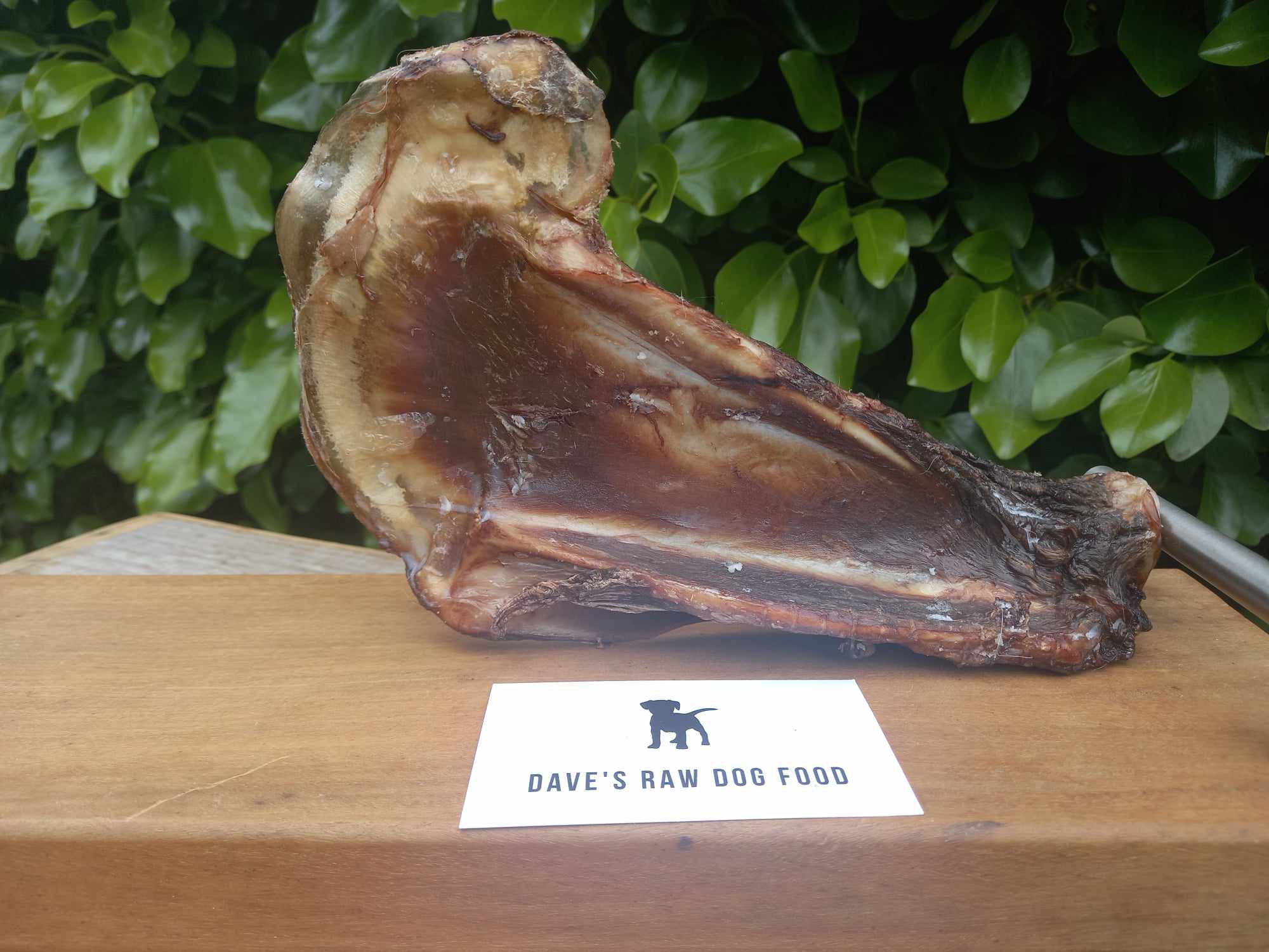 Venison Scapula – Dave's Raw Dog Food